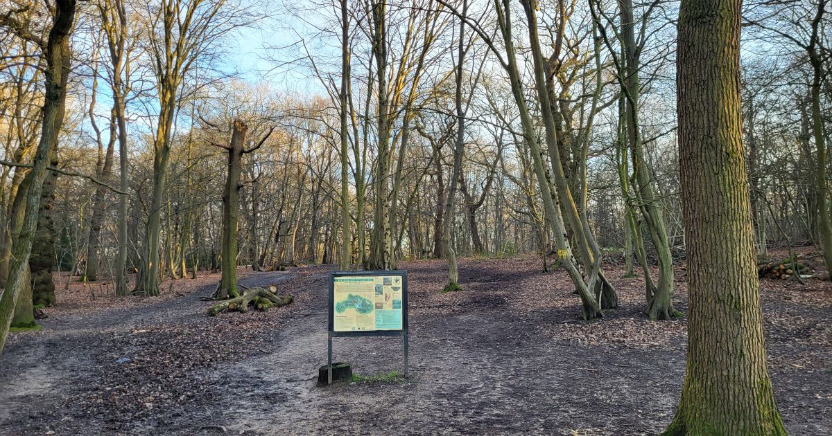 Walk 'n Talk from Manor Farm (Ruislip) library - Ramblers